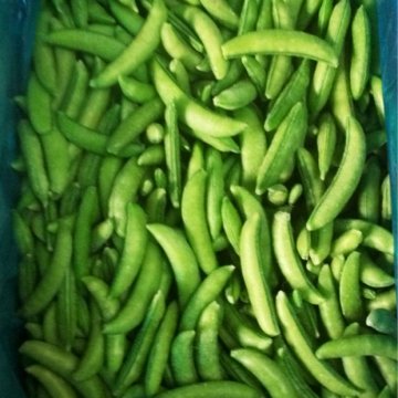 Frozen Sugar Snap Peas | Sweet Peas for Foodservice & Retail